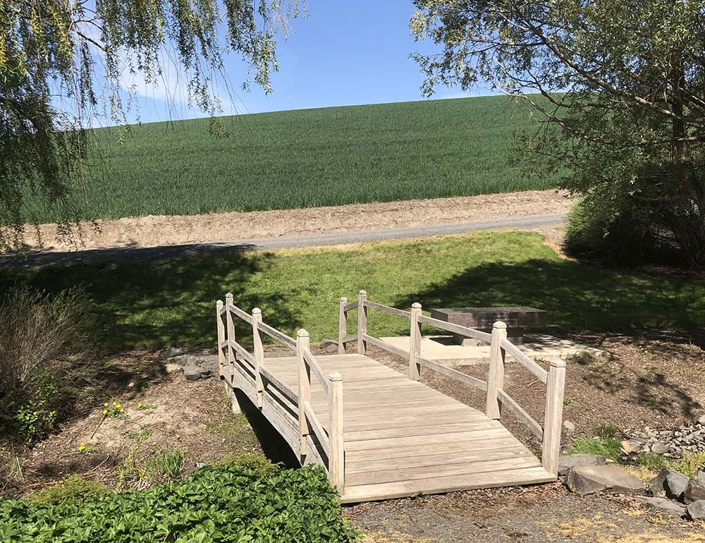 Part 3: Common Misconceptions about Therapy and Coaching – Lighting the Path